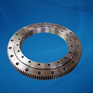 SKF RKS.230411 Slewing Bearing 304.00*518.00*56.00 | Bearing Kingdom ...